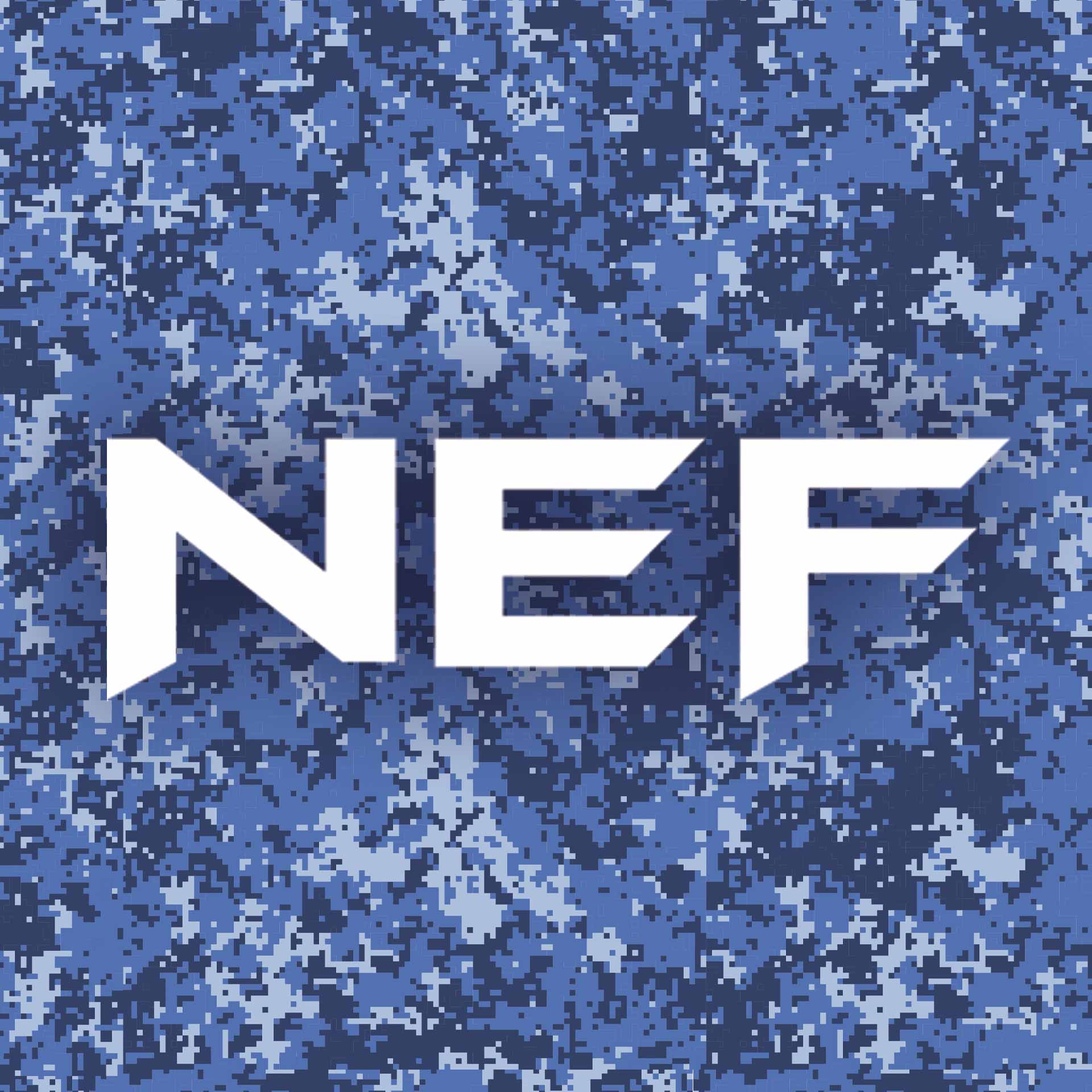 New England Fights (“NEF”) – New England Fights (“NEF”) is a fight ...